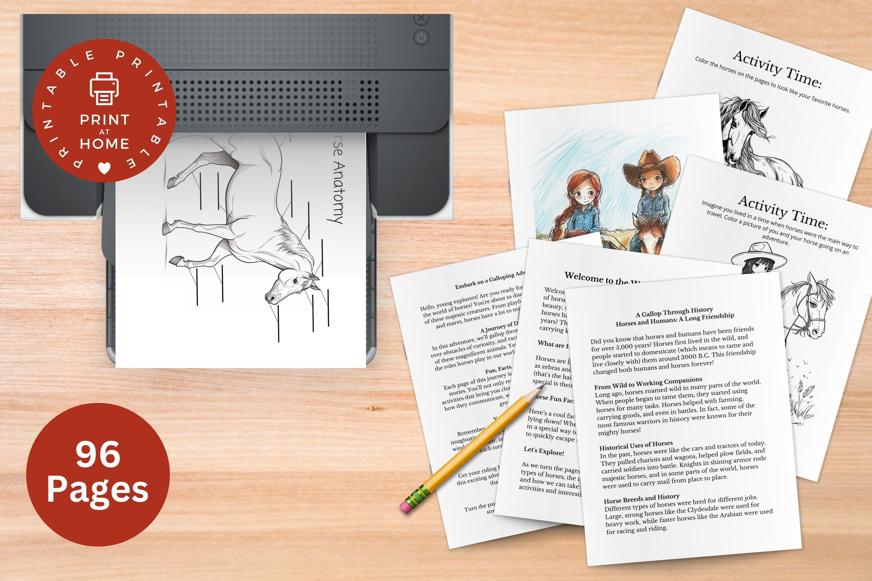 Lets Learn Horses | Homeschool Workbook | Horse Camp Workbook ...