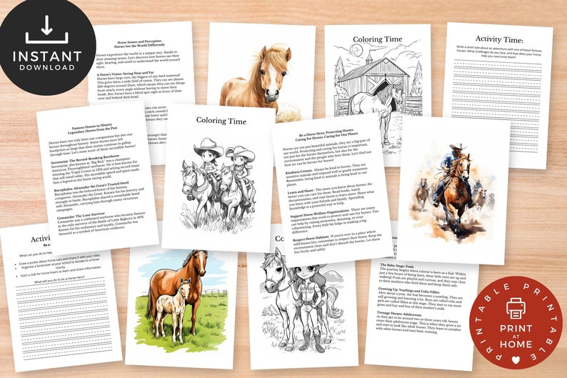 Lets Learn Horses | Homeschool Workbook | Horse Camp Workbook ...