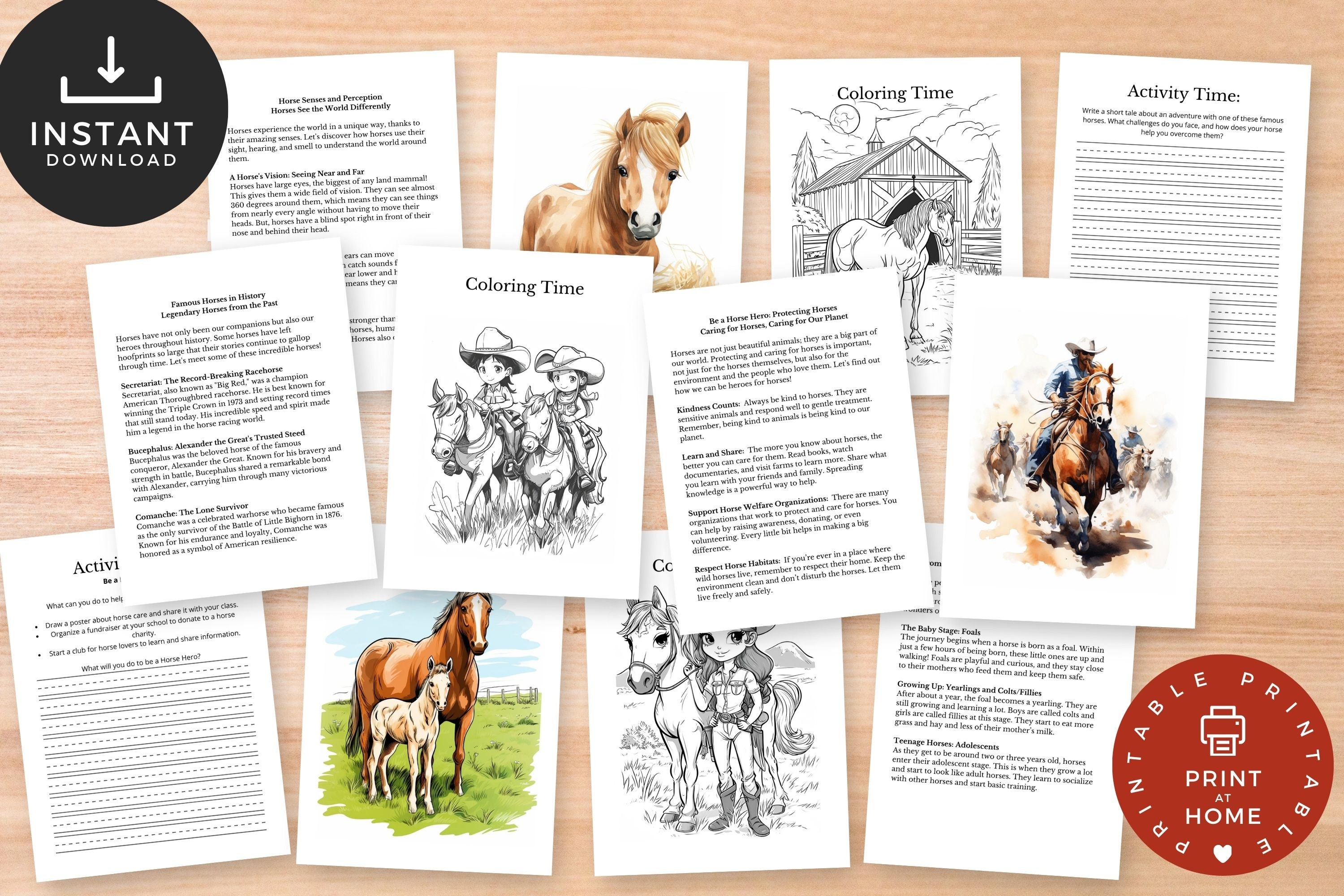 Lets Learn Horses | Homeschool Workbook | Horse Camp Workbook ...