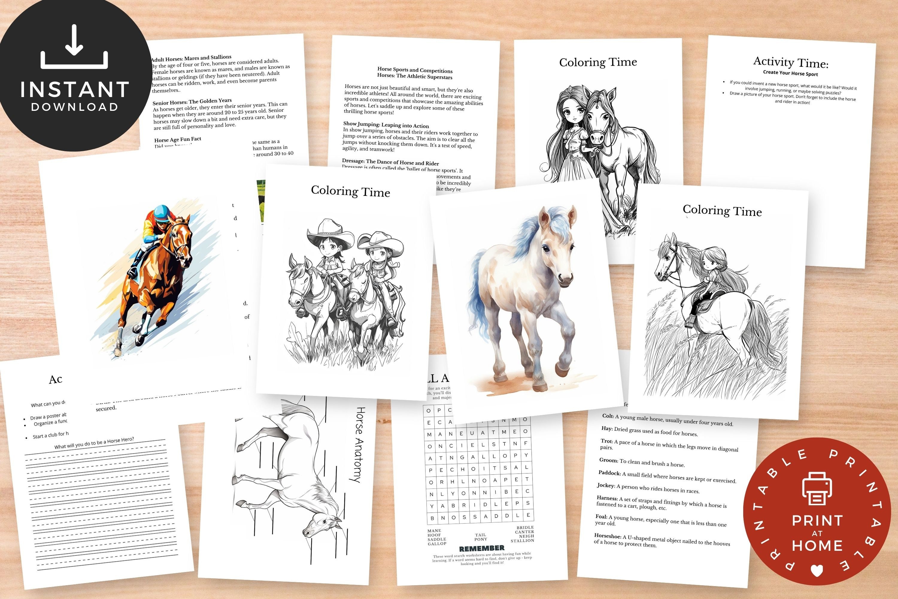 Lets Learn Horses | Homeschool Workbook | Horse Camp Workbook ...