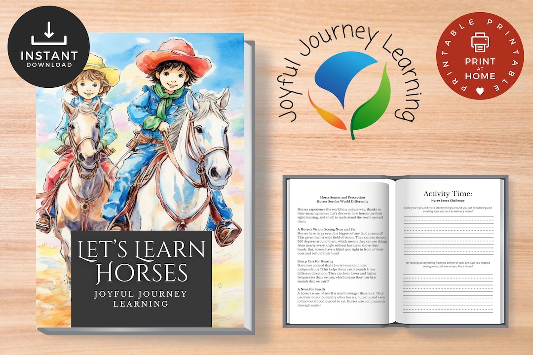 Lets Learn Horses | Homeschool Workbook | Horse Camp Workbook ...