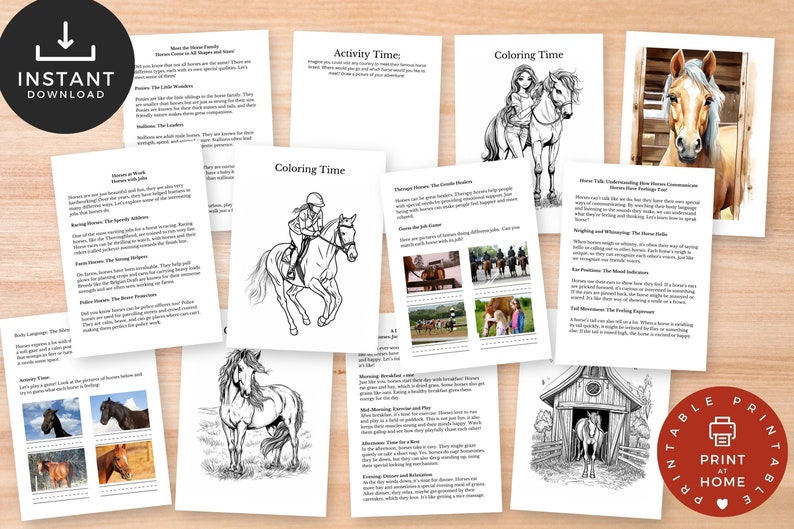 Lets Learn Horses | Homeschool Workbook | Horse Camp Workbook ...