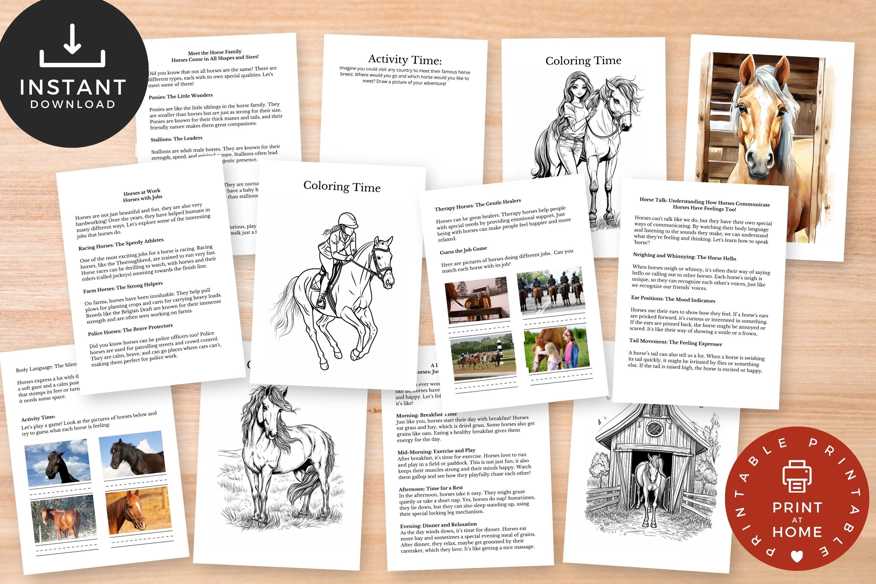 Lets Learn Horses | Homeschool Workbook | Horse Camp Workbook ...