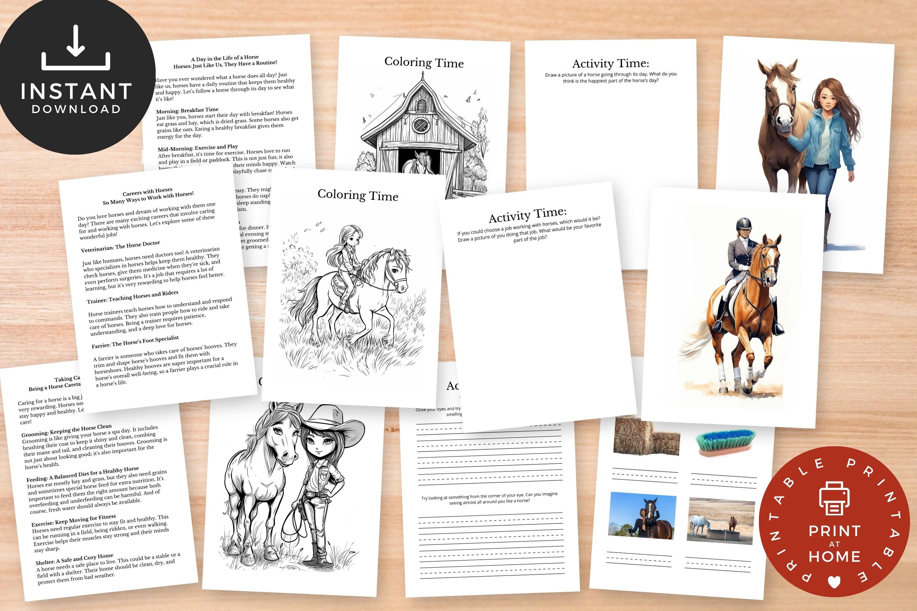 Lets Learn Horses | Homeschool Workbook | Horse Camp Workbook ...
