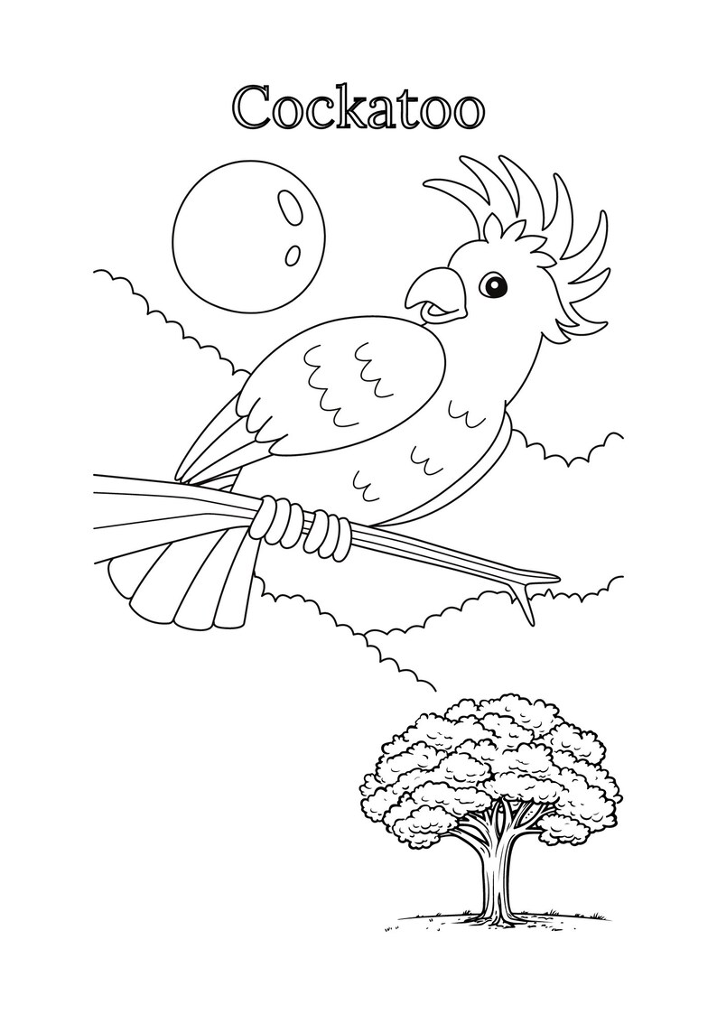 Adorable Aussie Wildlife Coloring Pages for Kids Adults, Printable PDF ...