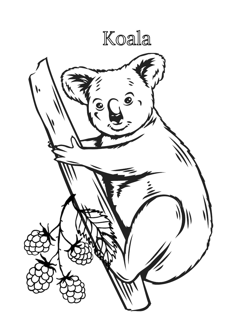 Adorable Aussie Wildlife Coloring Pages for Kids Adults, Printable PDF ...
