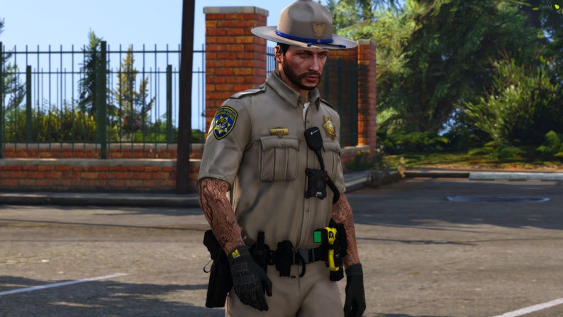 BCSO LSPD and SAHP Eup Mega Pack - Etsy Australia