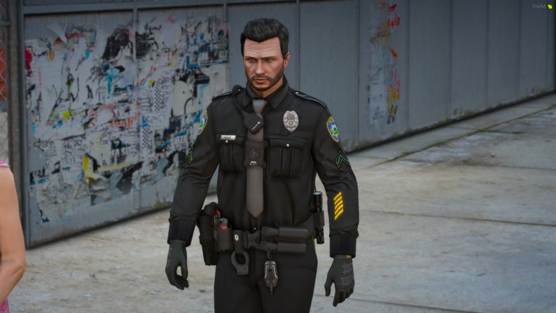 BCSO LSPD and SAHP Eup Mega Pack - Etsy Australia