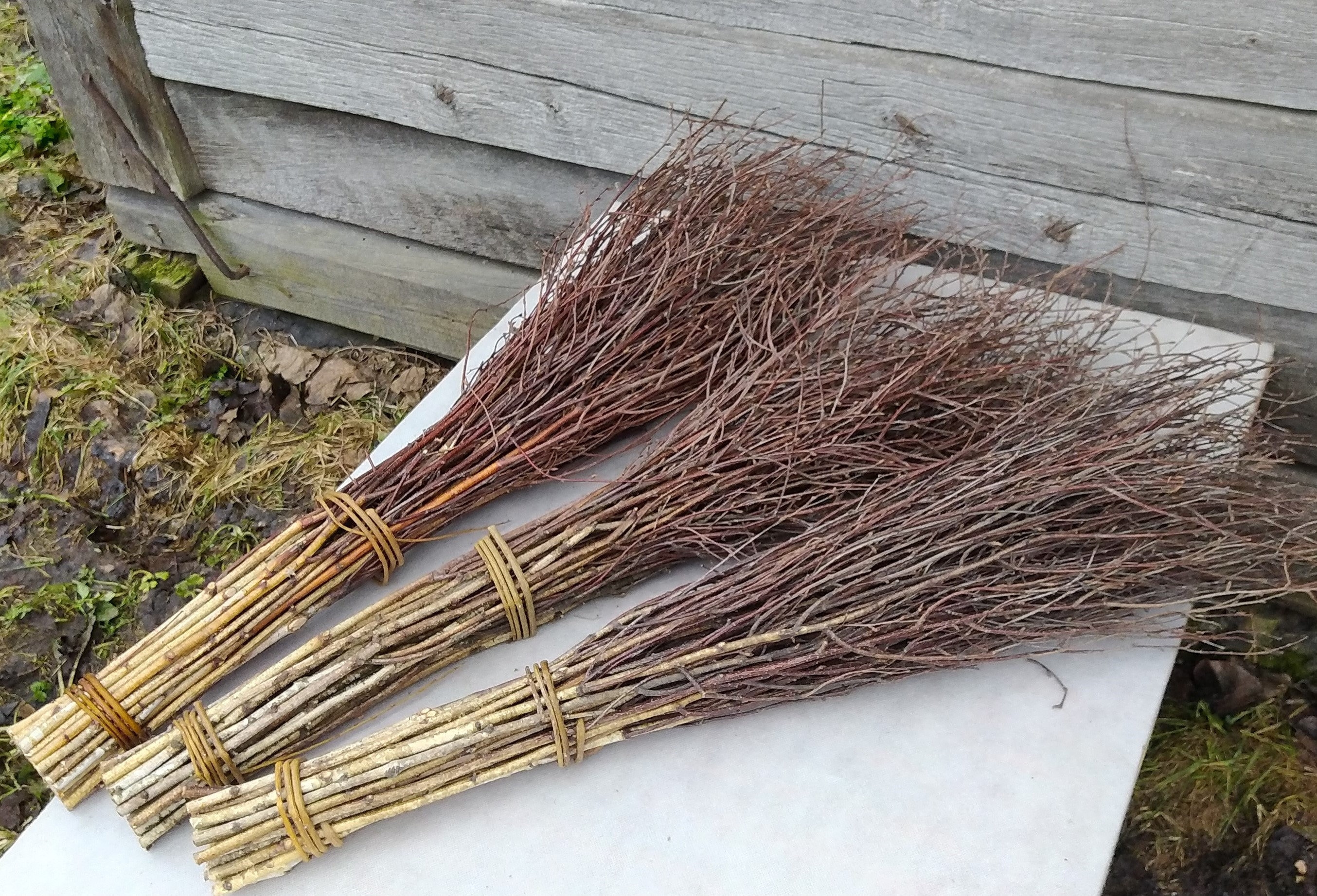 Long Birch Twigs, Birch Twigs, Birch Tree Branches, Birch Twigs Bundle ...
