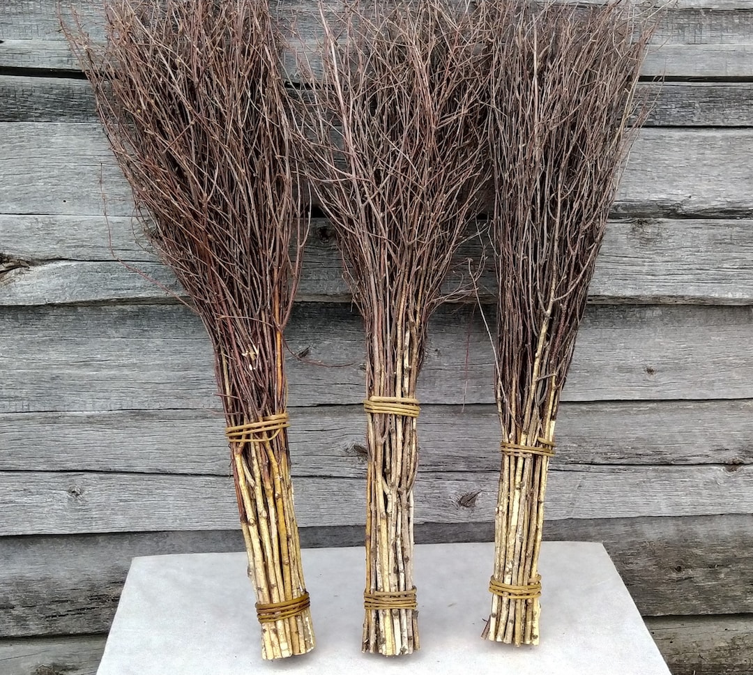 Long Birch Twigs, Birch Twigs, Birch Tree Branches, Birch Twigs Bundle ...