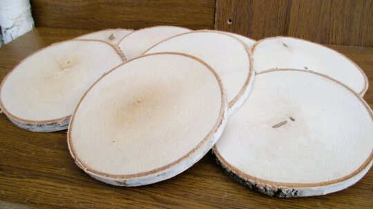 Birch Tree Slice , 7-8 Inch Wood Slice, Wood Slice, Dried and Sanded ...