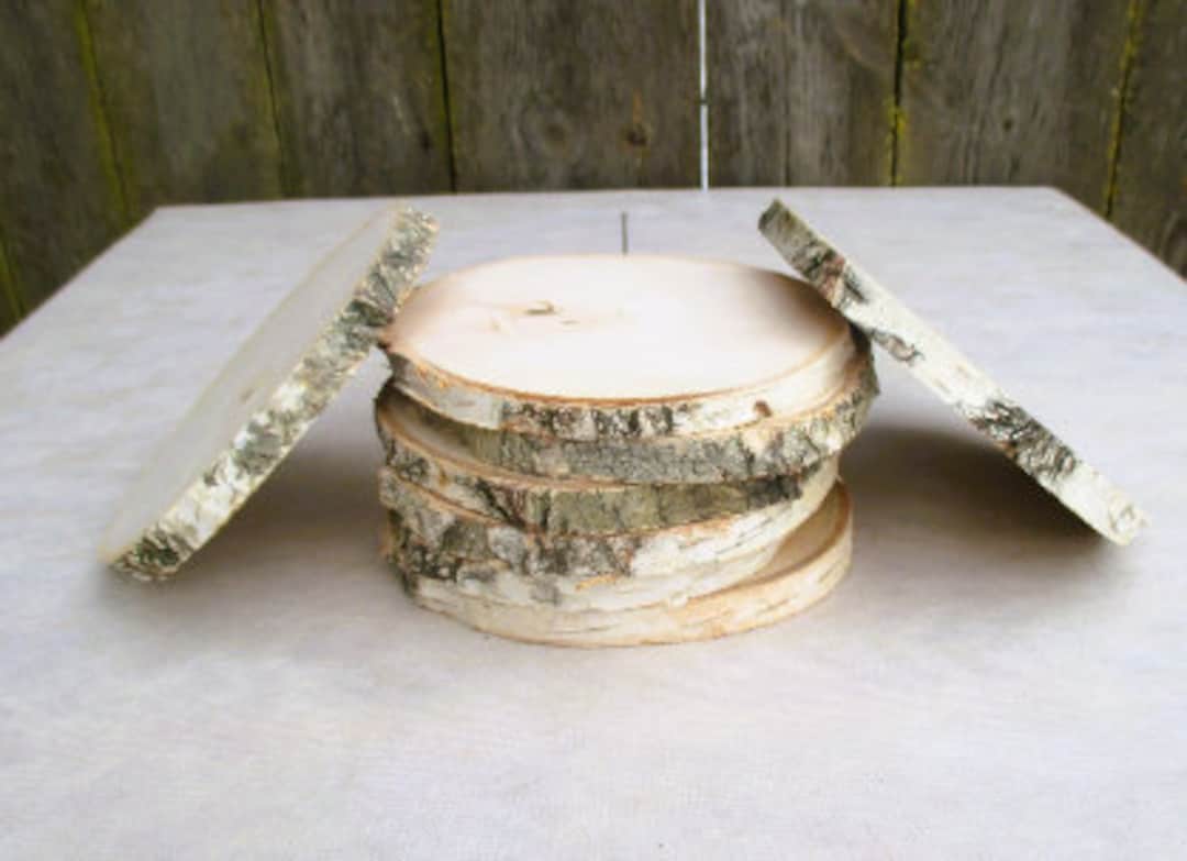 Birch Tree Slice , 7-8 Inch Wood Slice, Wood Slice, Dried and Sanded ...