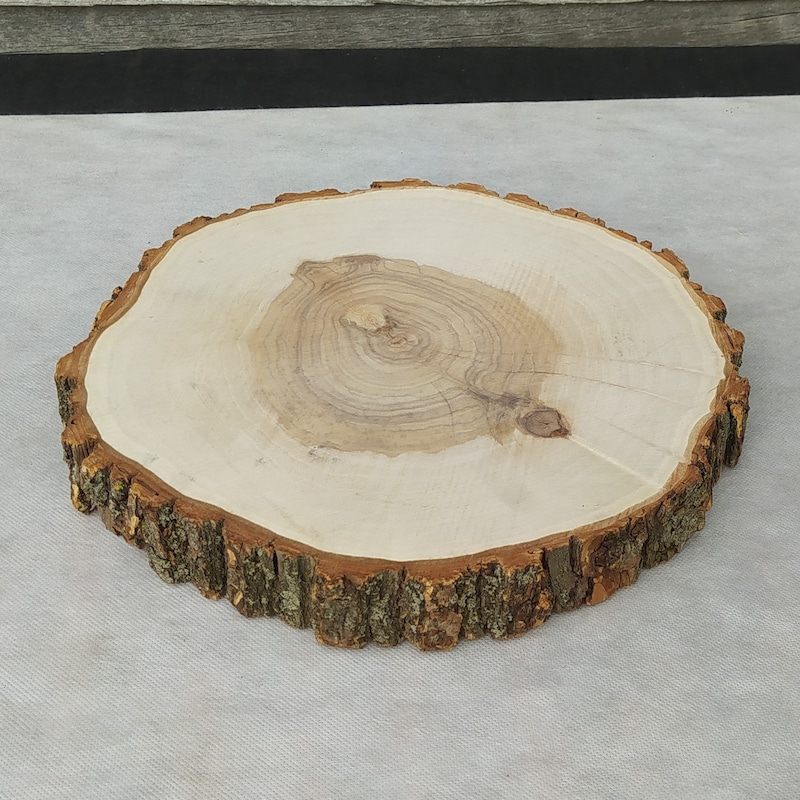 Tree Slab - Etsy