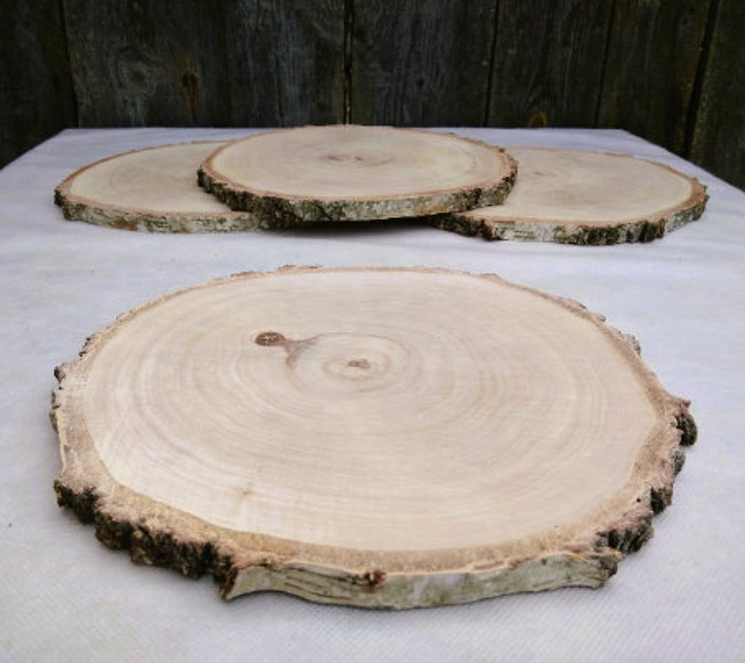 Dried Birch Tree Slice, Sanded Smooth Wood Charger (10-11 Inches) - Etsy