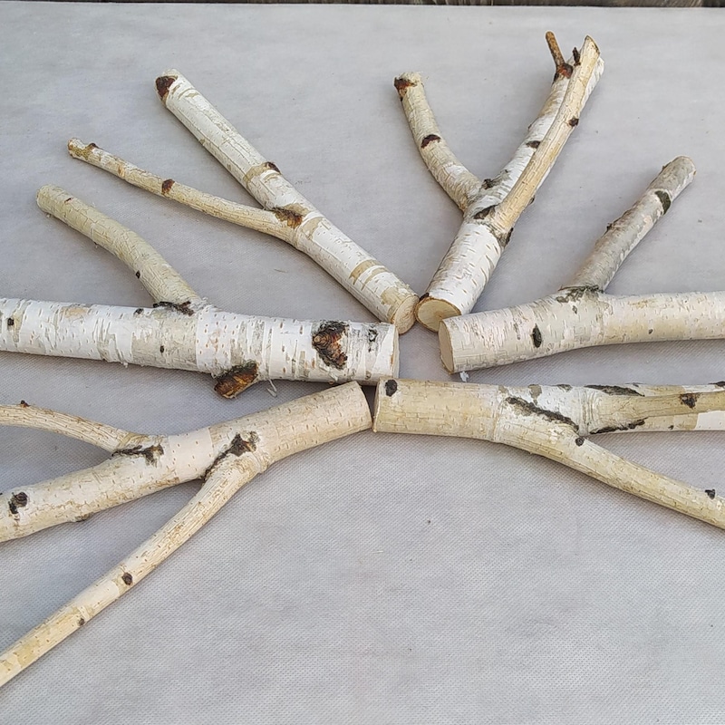 Birch Branches Crafts - Etsy