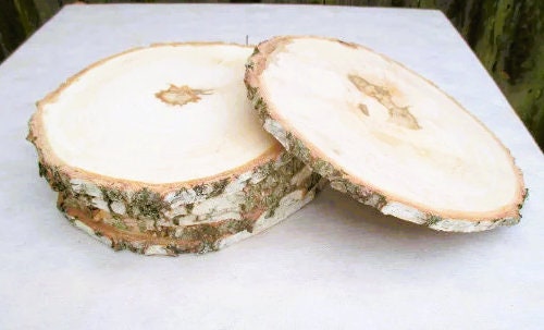 Birch Tree Slice, 10-11 Inch Birch Slice, Wood Slice, 1011 Wood Slice ...