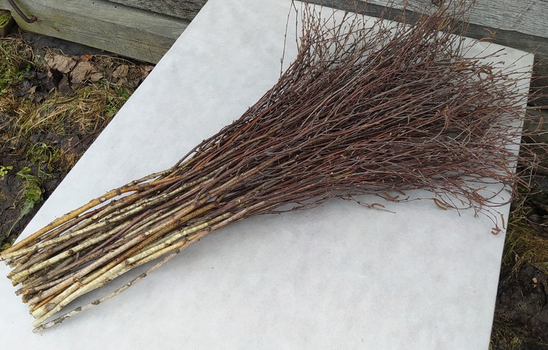 Long Natural Birch Twigs Bundle, Rustic Home Decor - Etsy