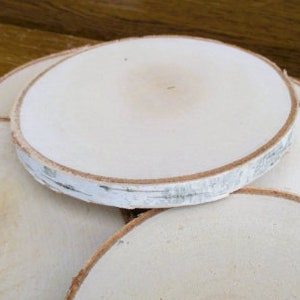 Birch Tree Slice , 7-8 Inch Wood Slice, Wood Slice, Dried and Sanded ...
