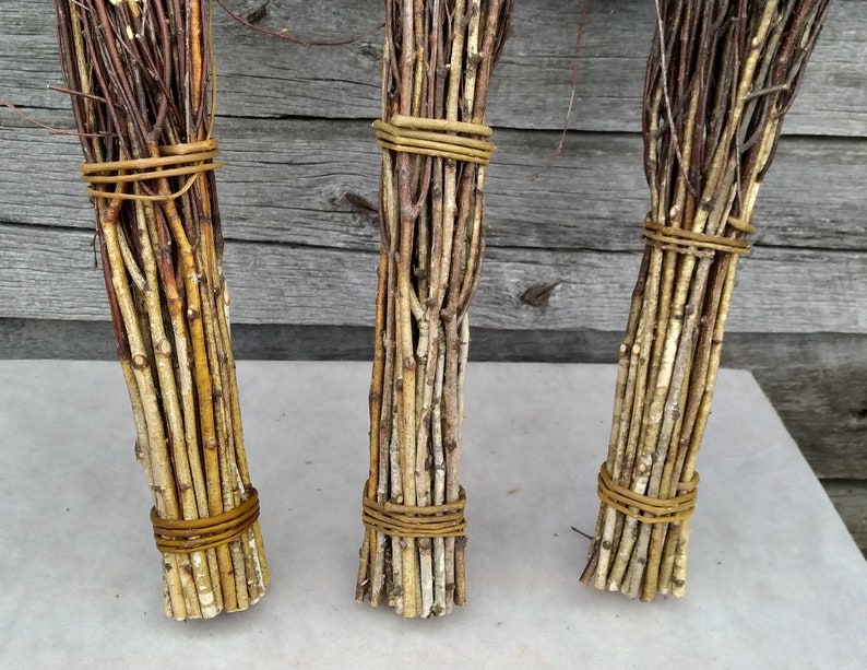 Long Natural Birch Twigs Bundle, Rustic Home Decor - Etsy
