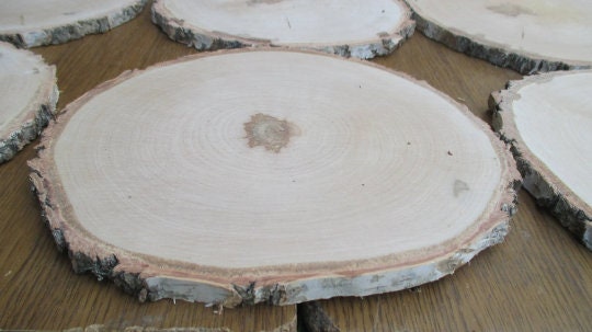 Birch Tree Slice, 10-11 Inch Birch Slice, Wood Slice, 1011 Wood Slice ...
