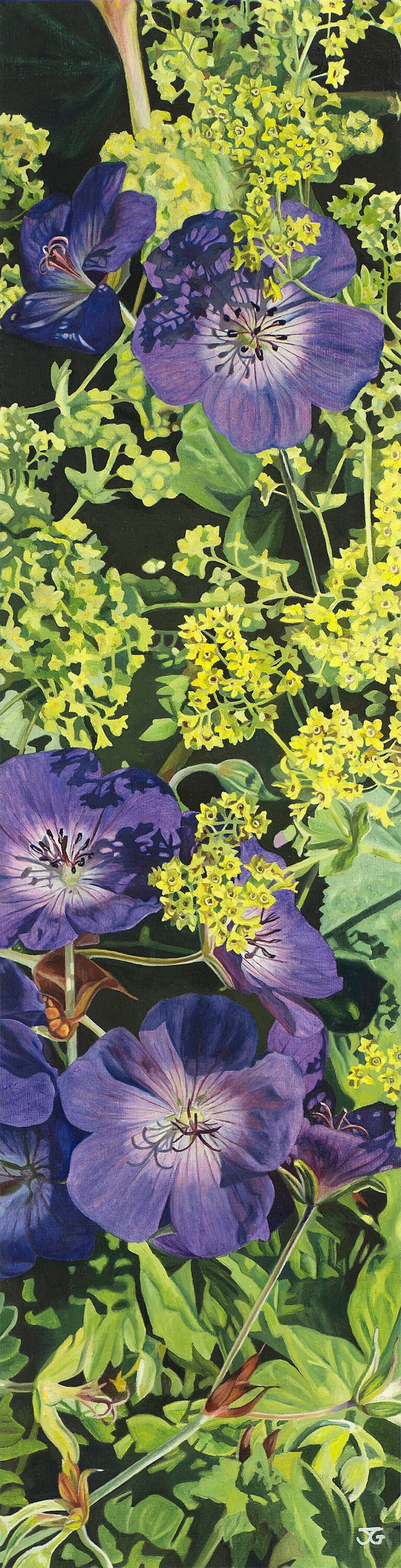 Stars, Limited Edition Botanical Art Giclée Print, Purple Geranium and ...