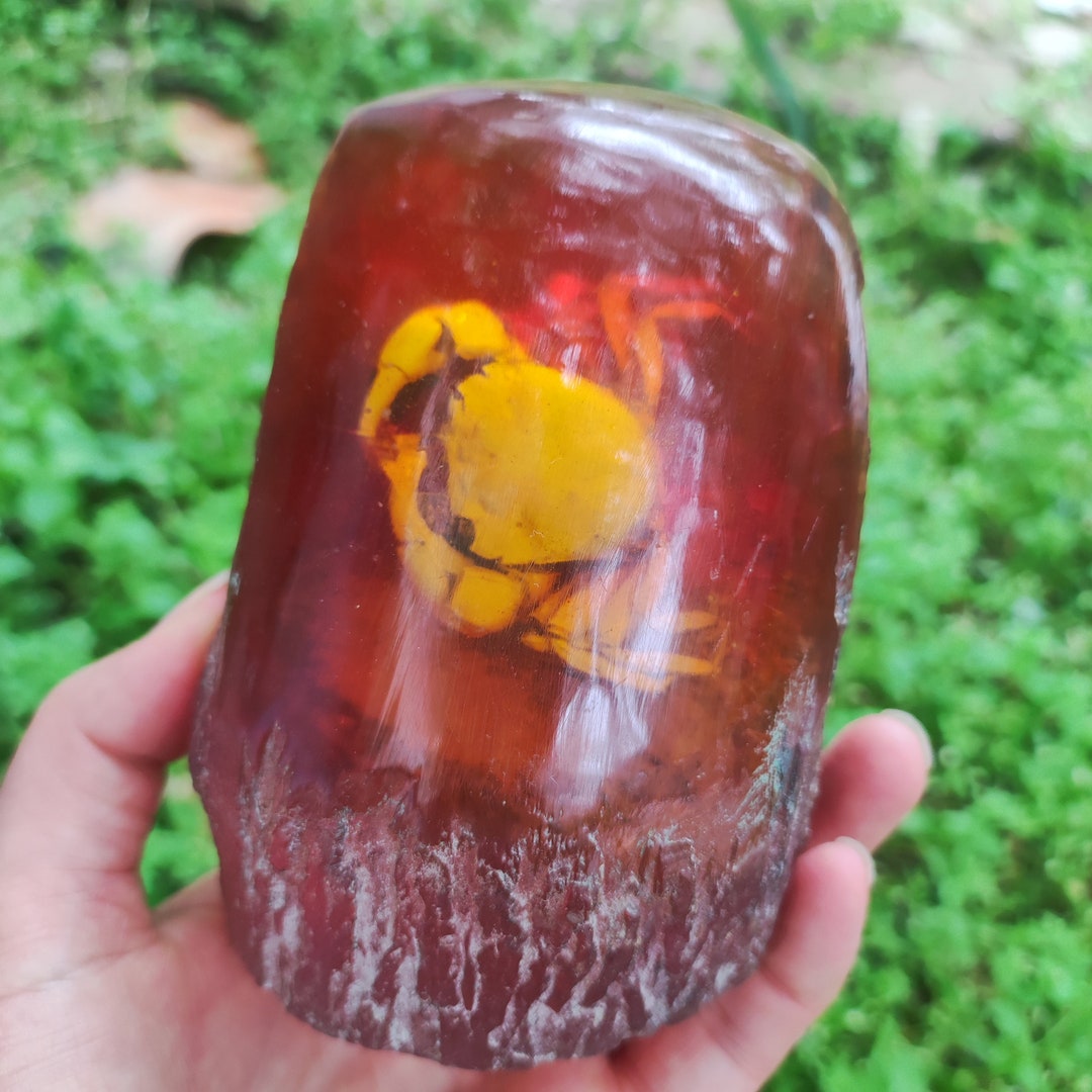 Real Crab Taxidermy in Resin Block Charms Transparent Small Ornaments ...