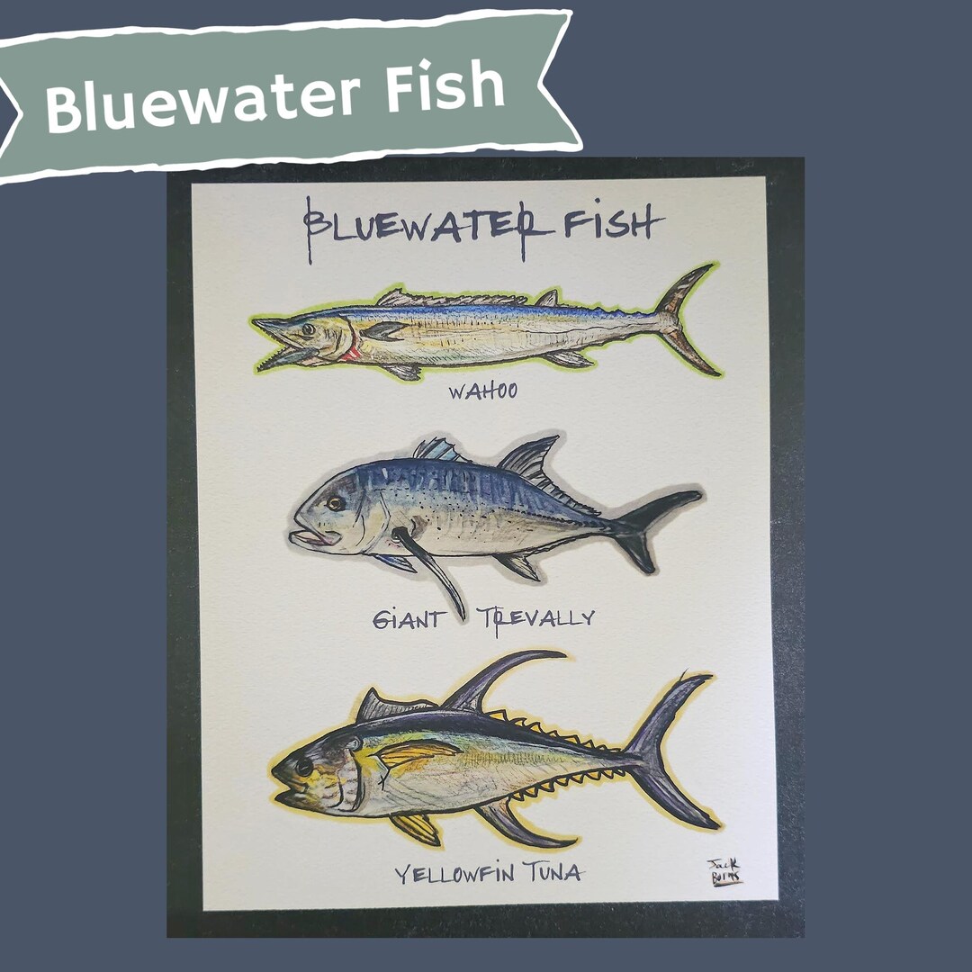 Bluewater Fish 8x10 Art Print - Etsy