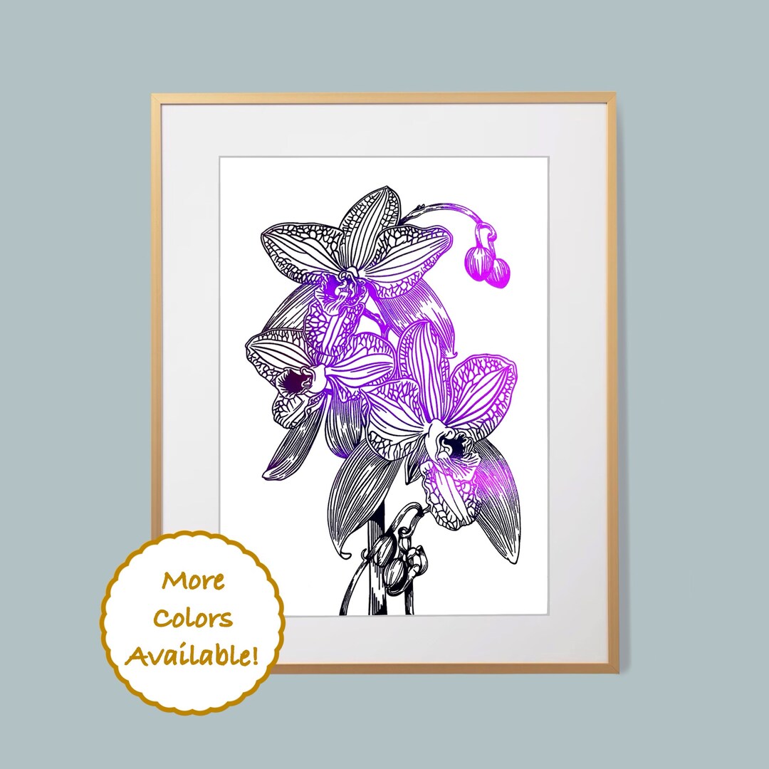 Hand Drawn Iridescent Purple Cattleya Orchid Flower Botanical Line Art ...