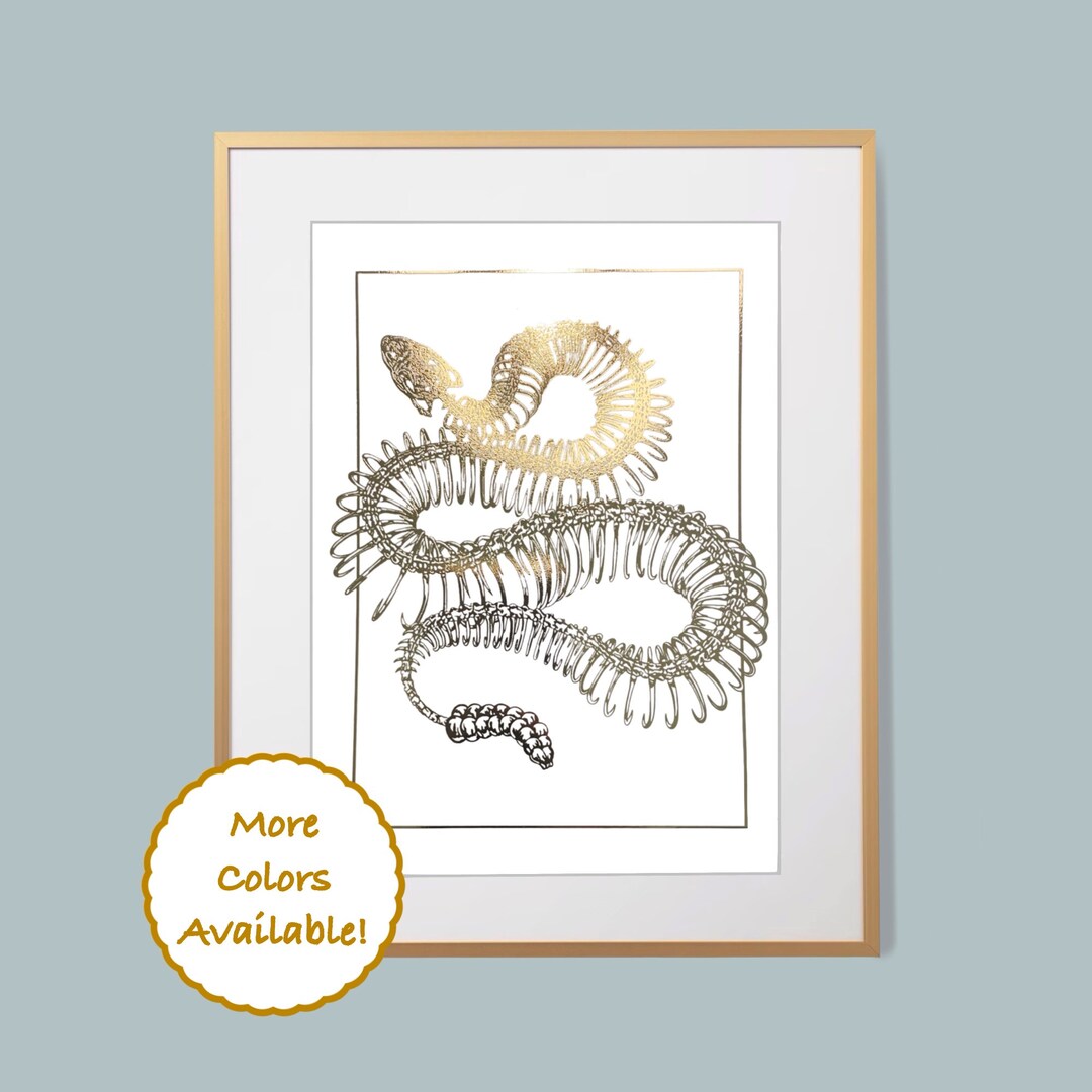 Hand Drawn Iridescent Gold Rattlesnake Skeleton (crotalus Horridus ...