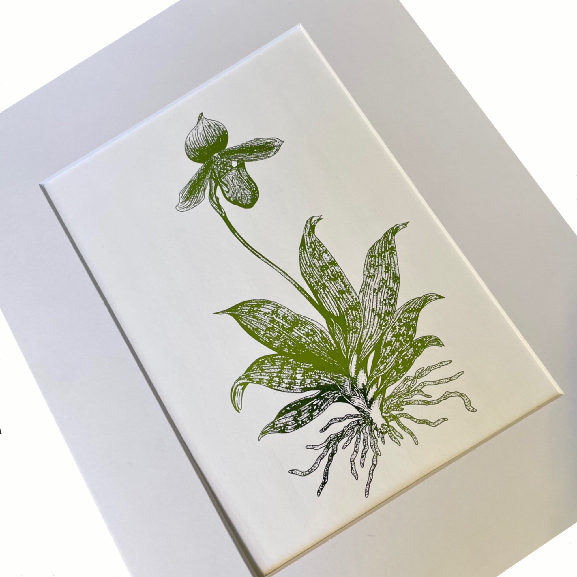 Hand Drawn Iridescent Lime Green Peace Lady Slipper Orchid Flower ...