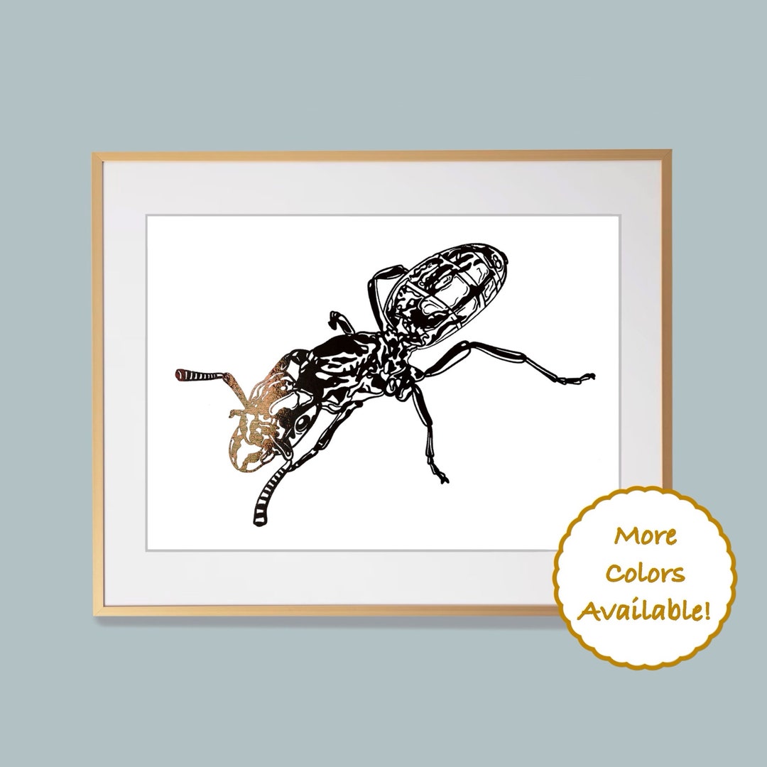 Hand Drawn Iridescent Coffee Red Carpenter Ant Queen Line Art Foil ...