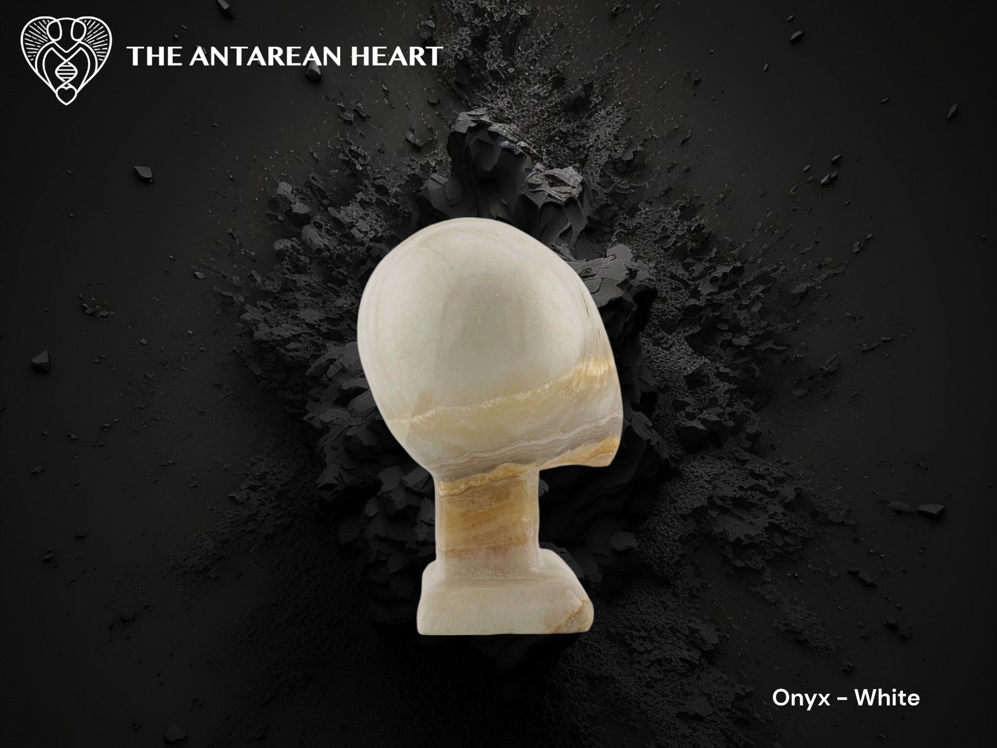 Praying Mantis Crystal Skull ONYX - Etsy