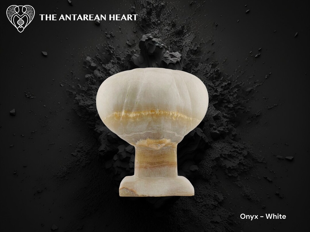 Praying Mantis Crystal Skull ONYX - Etsy