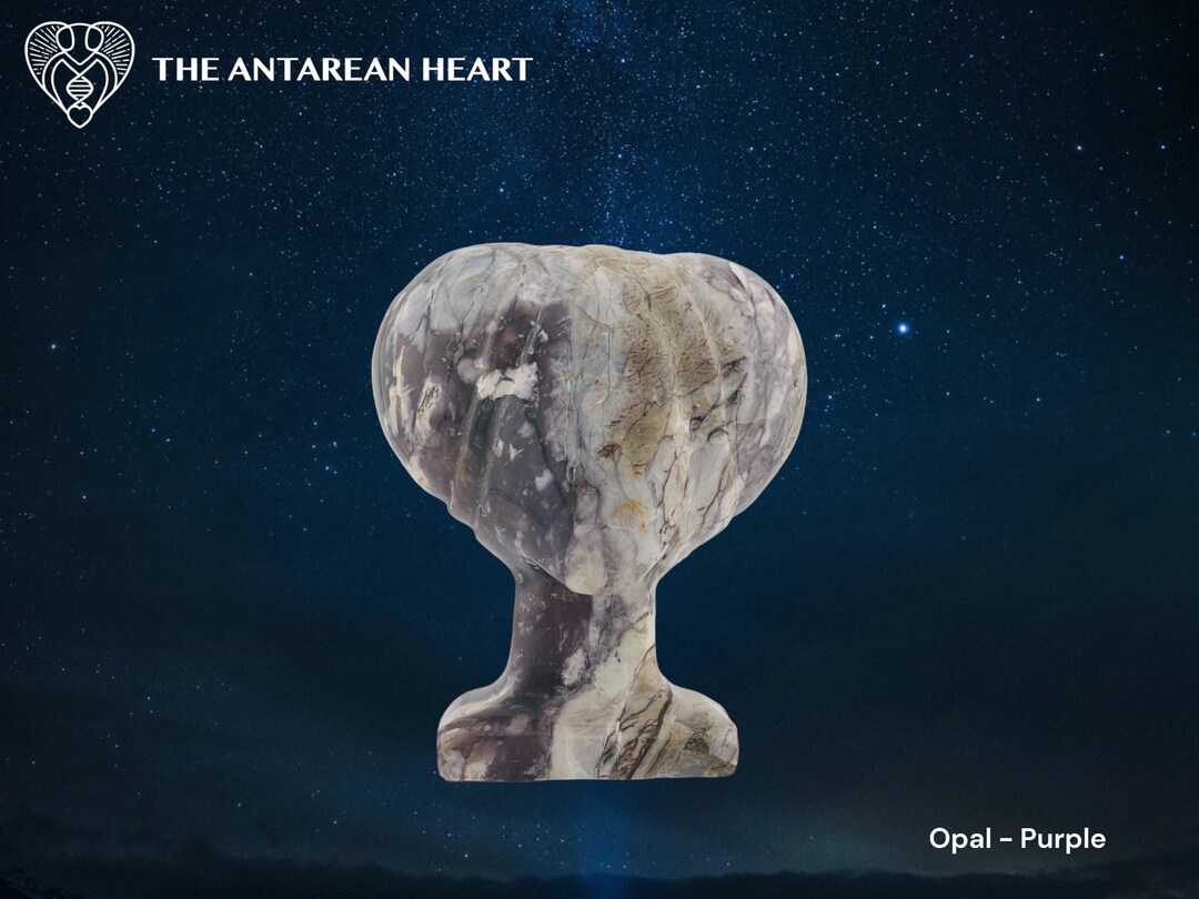 Praying Mantis Crystal Skull - OPAL - Etsy