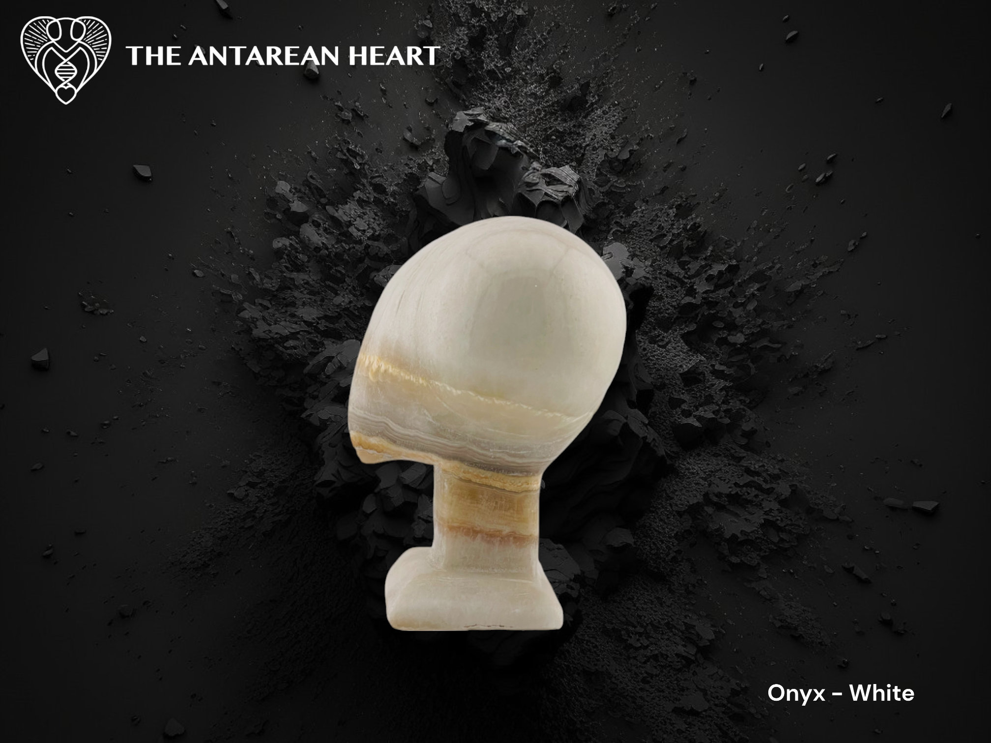 Praying Mantis Crystal Skull ONYX - Etsy