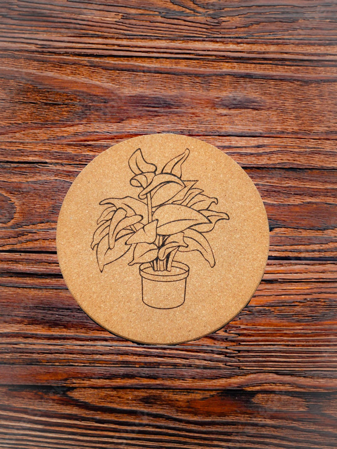 Plant Cork Pad Rest / Water Absorber - Etsy