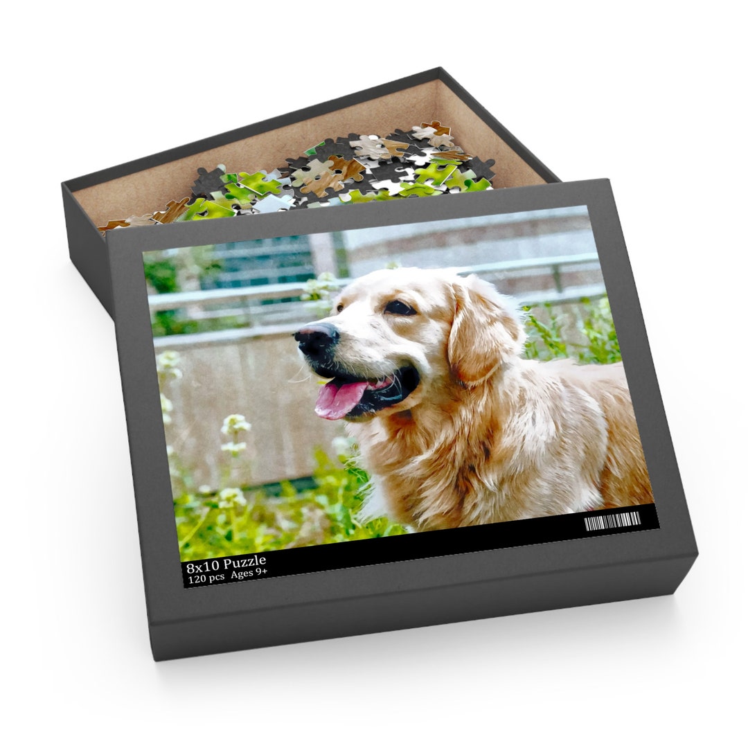 Labrador Retriever, Labrador Puzzle, Dog Pictures, Cute Dog Art, Puzzle ...