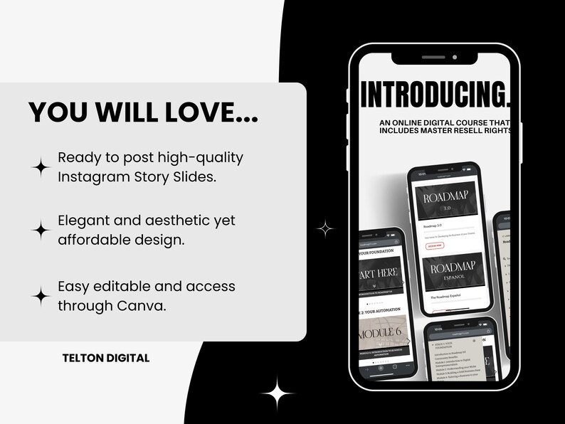 Roadmap Course 100 Instagram Story Roadmap 3.0 Done-for-you Canva IG ...