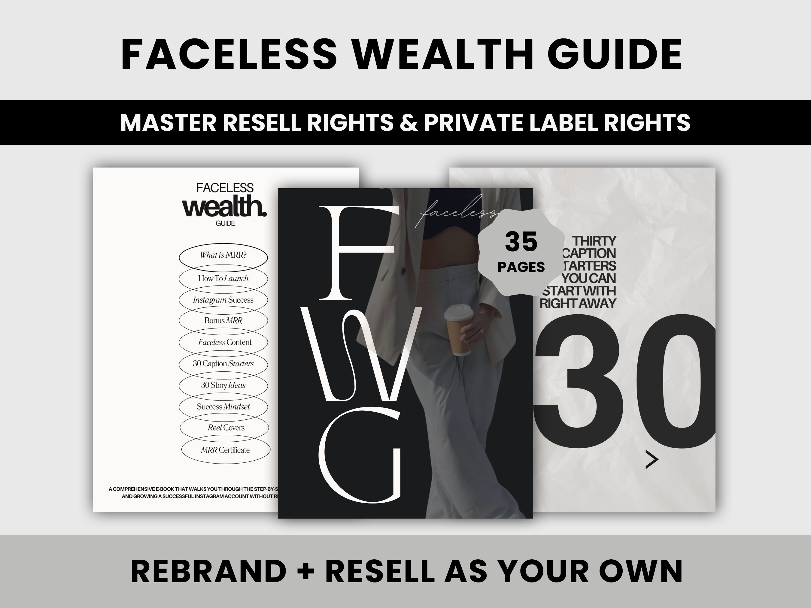 Faceless Wealth Guide With MRR PLR DFY Faceless Digital Marketing Guide ...