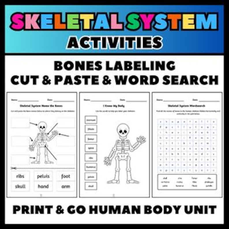 Skeletal System Activities | Labeling & Cut and Paste Bones - Etsy