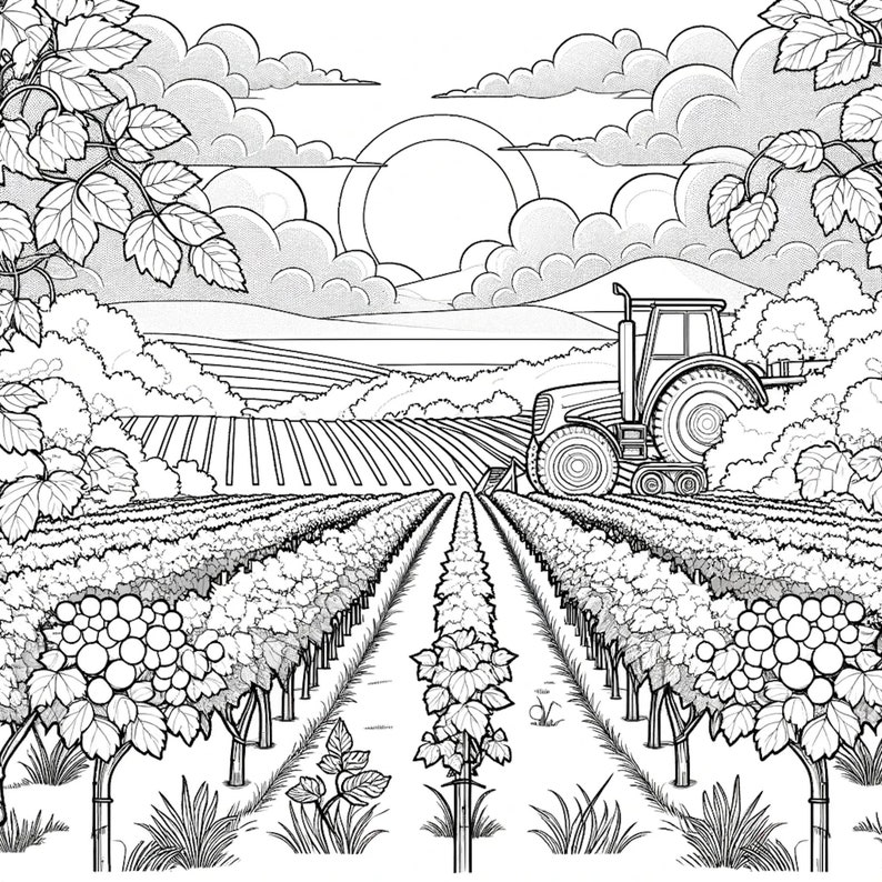 Wine Country Coloring Book - Etsy