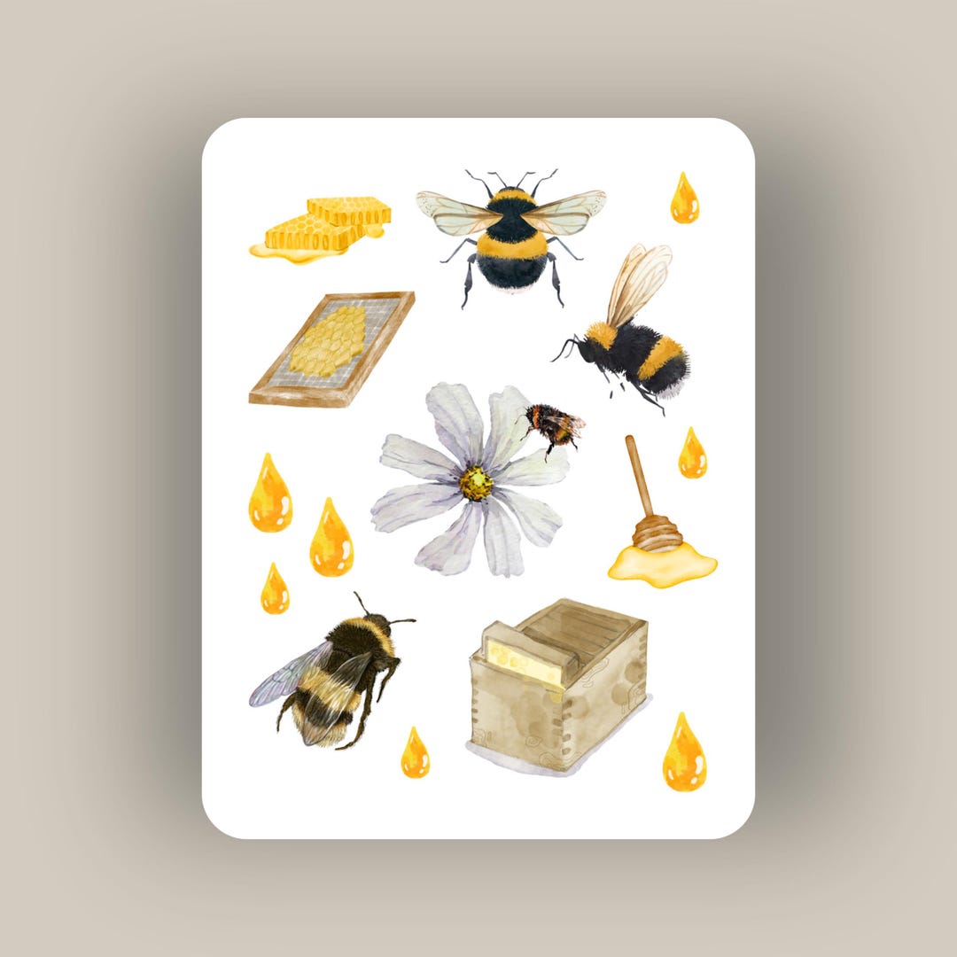 Aesthetic Honey Bee for Your Planner Honey Comb Sticker Sheet Bee ...