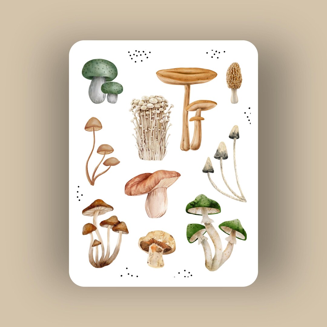 Mushroom Sticker Sheet Magical Shrooms Mini Sticker Kit Cute Autumn ...