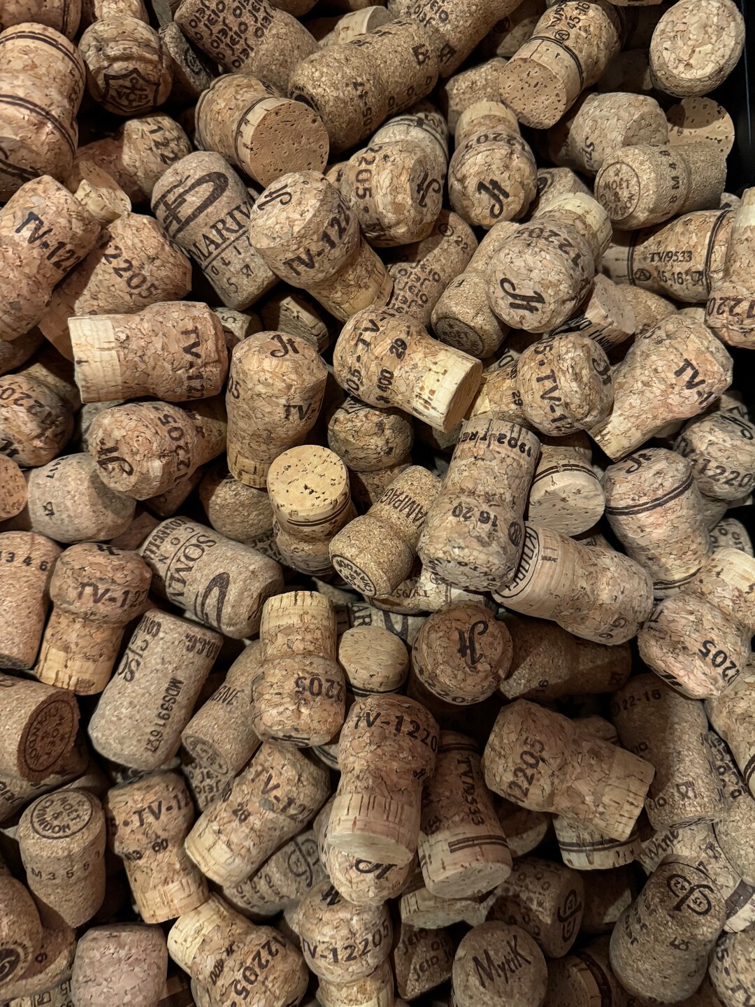 Champagne Corks pack of 50 - Etsy
