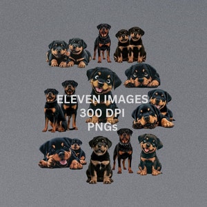 49 Dog PNG Downloads, All Are, 300 DPI Images For, Dog Lovers ...