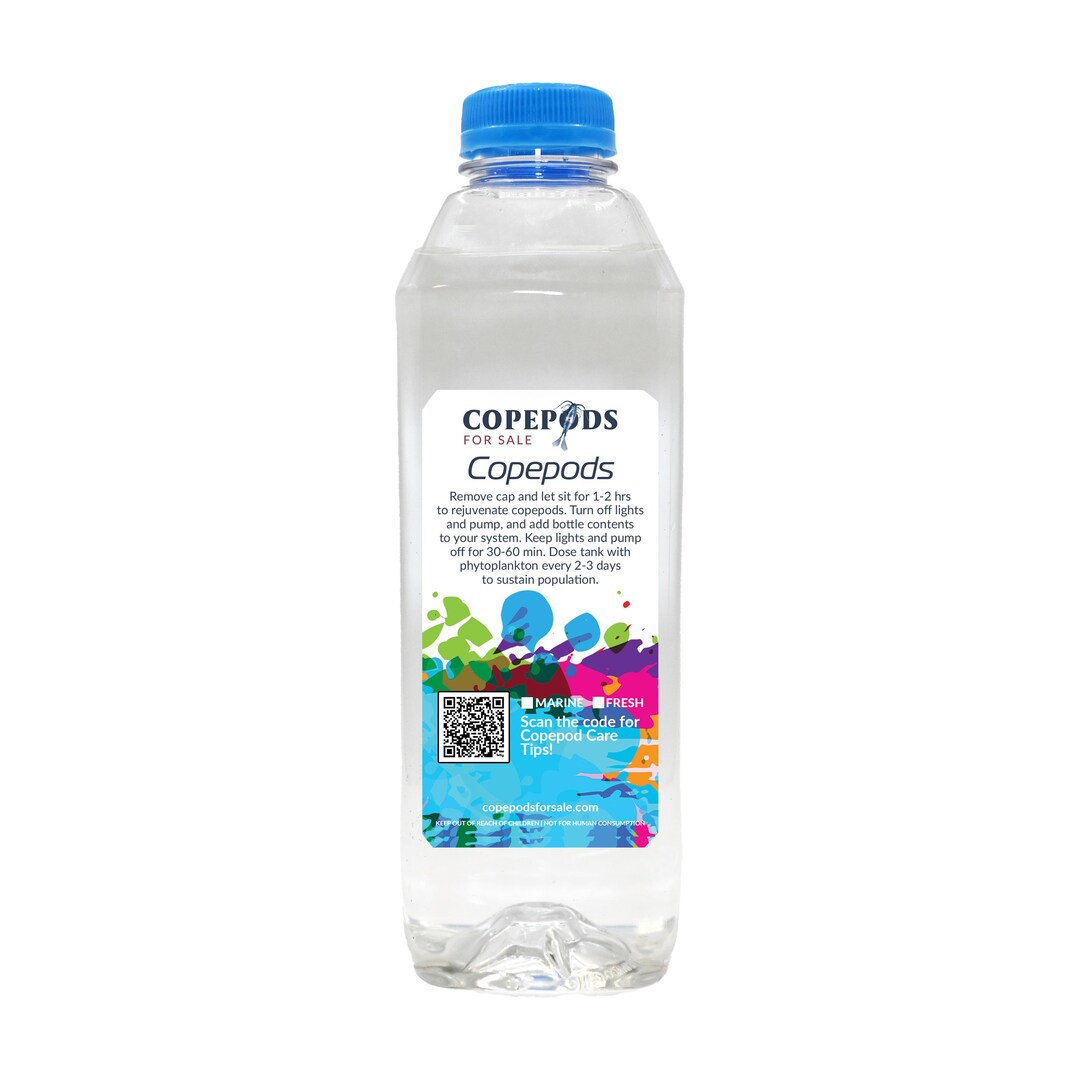32 Oz Copepods - Tisbe, Trigio, Apo Copepods - With Phyto in Bottle ...