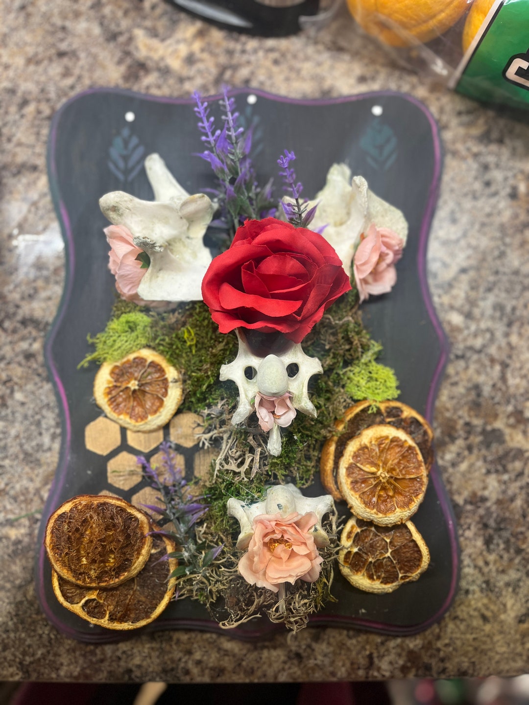 Deer Vertebrae Art - Etsy