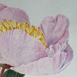 IRENE MAY GILBERT Peony - Etsy