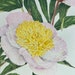 IRENE MAY GILBERT Peony - Etsy