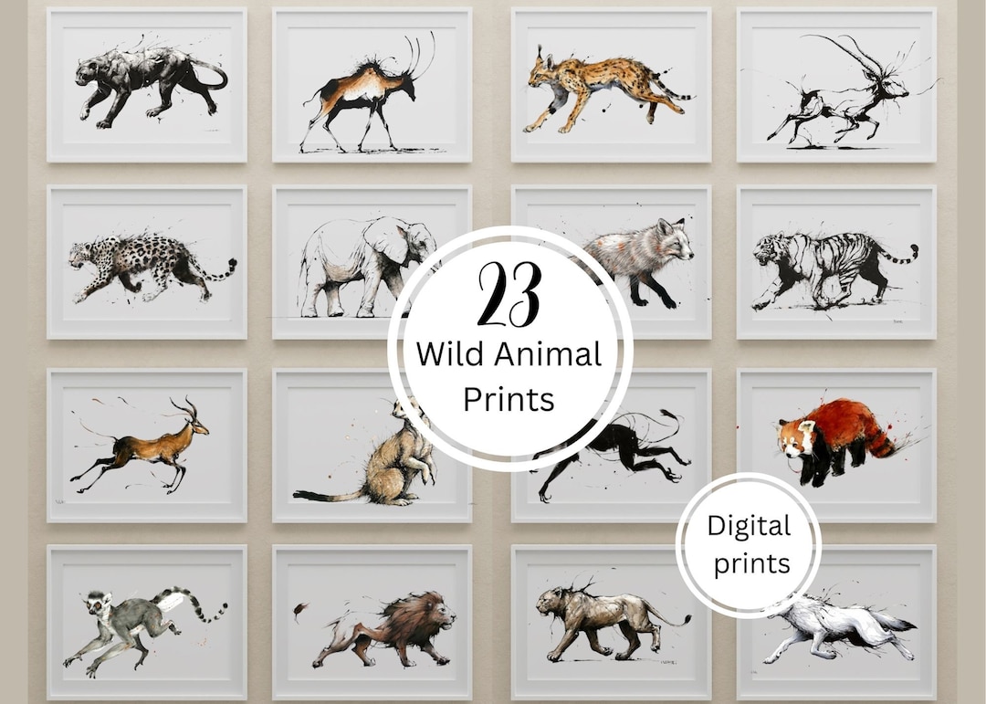 Wild Animal Prints Safari Animal Digital Prints | 23 Pen & Ink Drawn ...